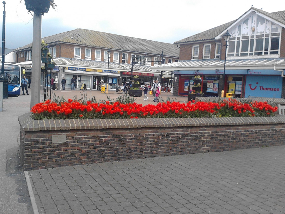 Community & Residents - Hailsham Town Council