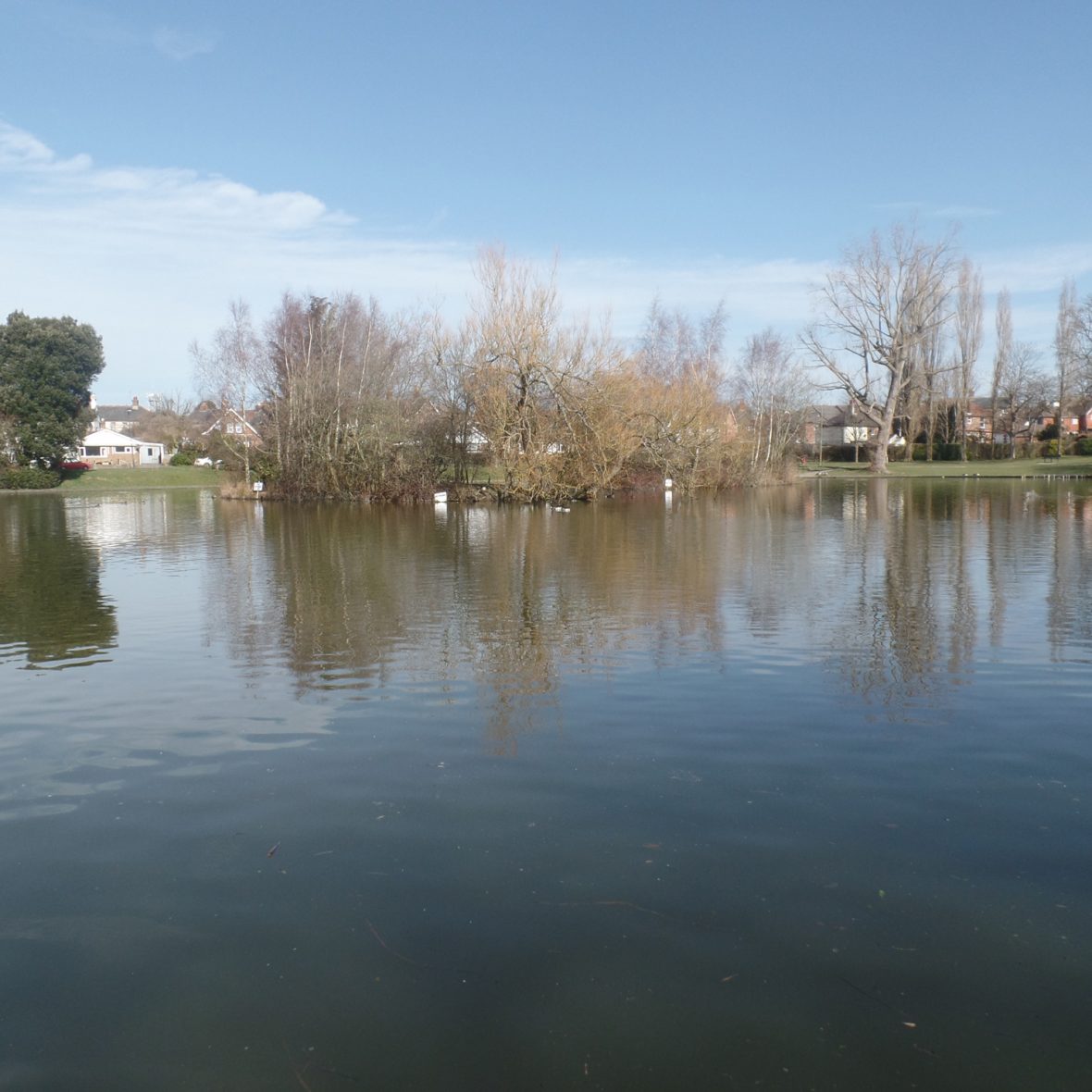 Update on Hailsham Common Pond - Hailsham Town Council