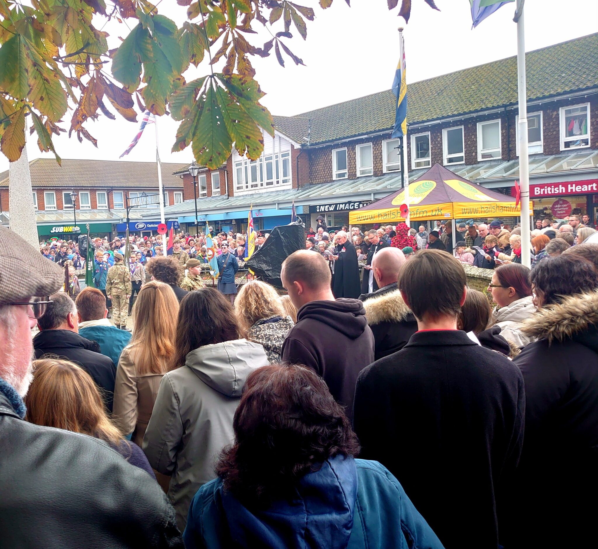 Town Mayor Joins Councillors and Veterans in Remembrance - Hailsham ...