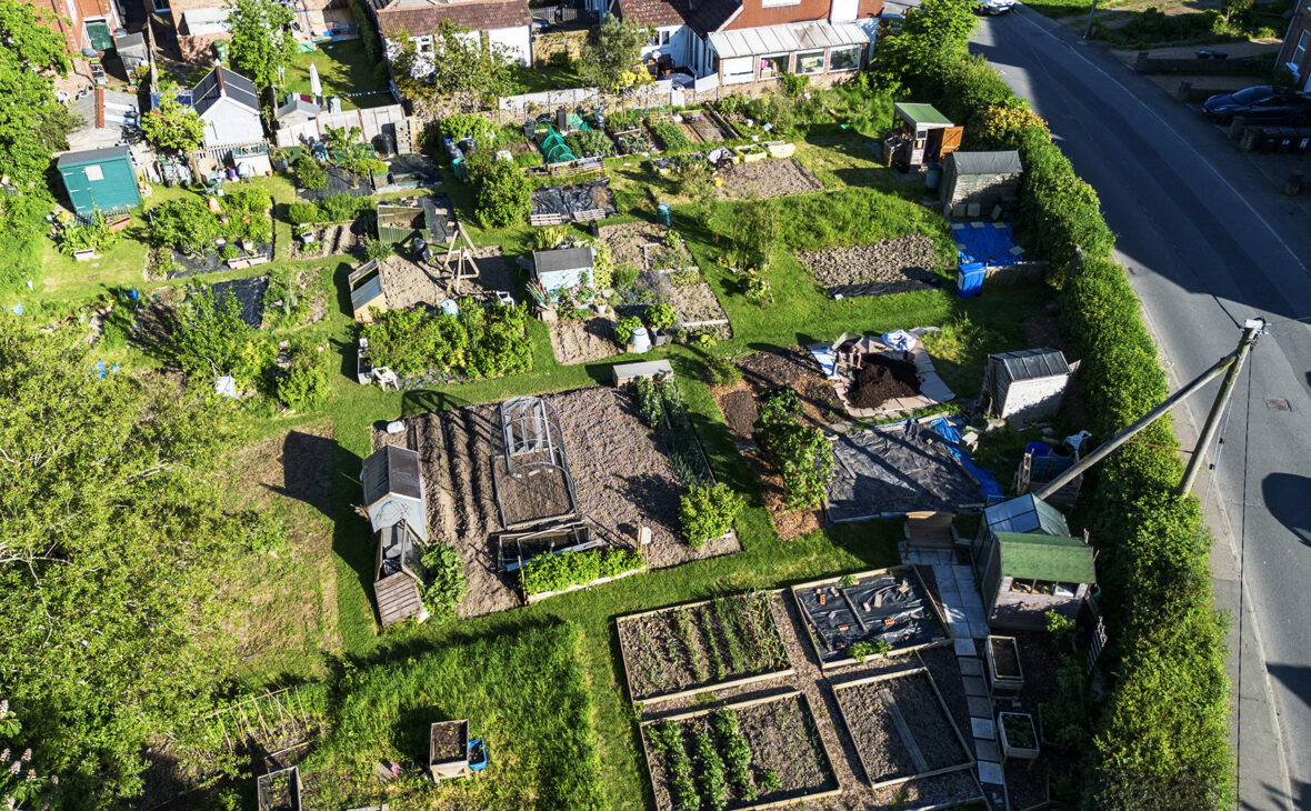 Town Council Supports Allotment Society with Community Grant - Hailsham ...