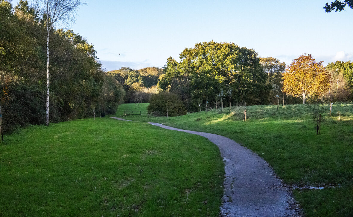 Town Council Relaunches Responsible Dog Walking Campaign Across ...